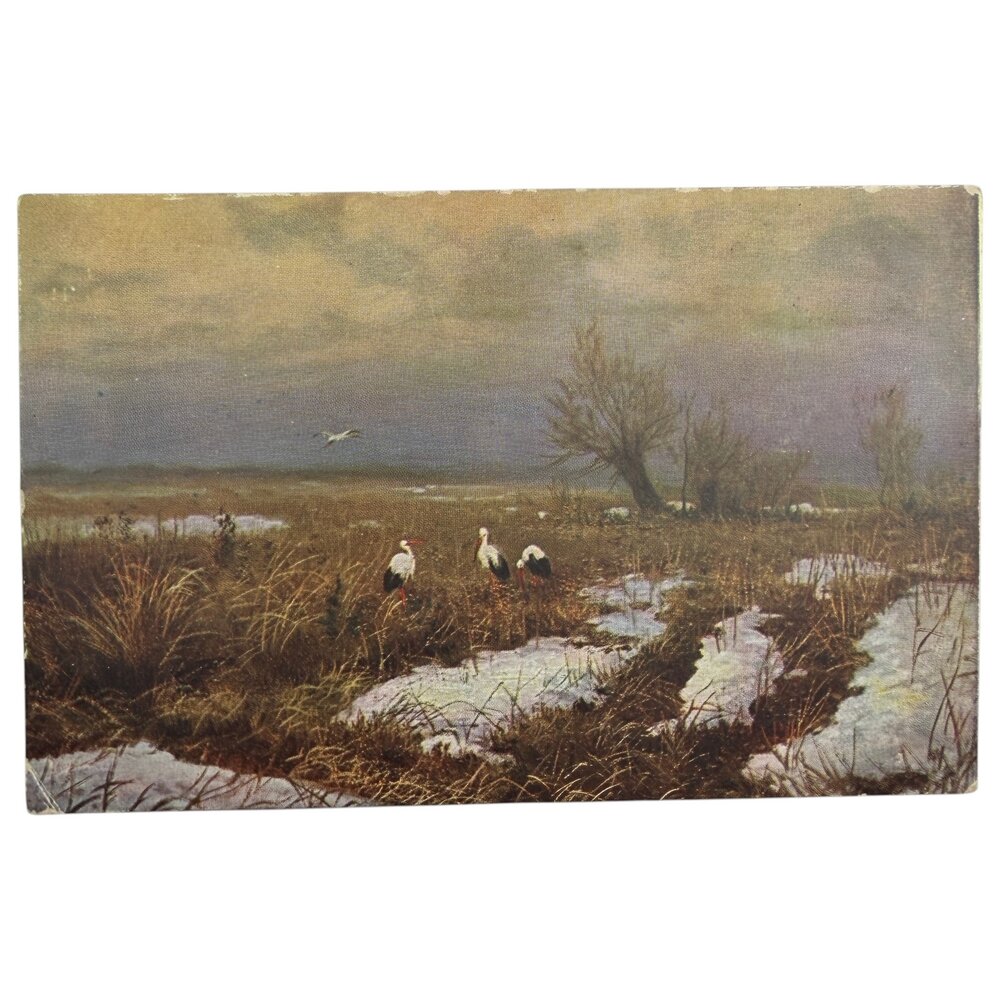 Почтовая открытка "Светославский - Начало весны" 1900-1917 гг. Российская Империя