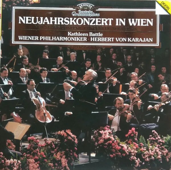 Neujahrskonzert In Wien