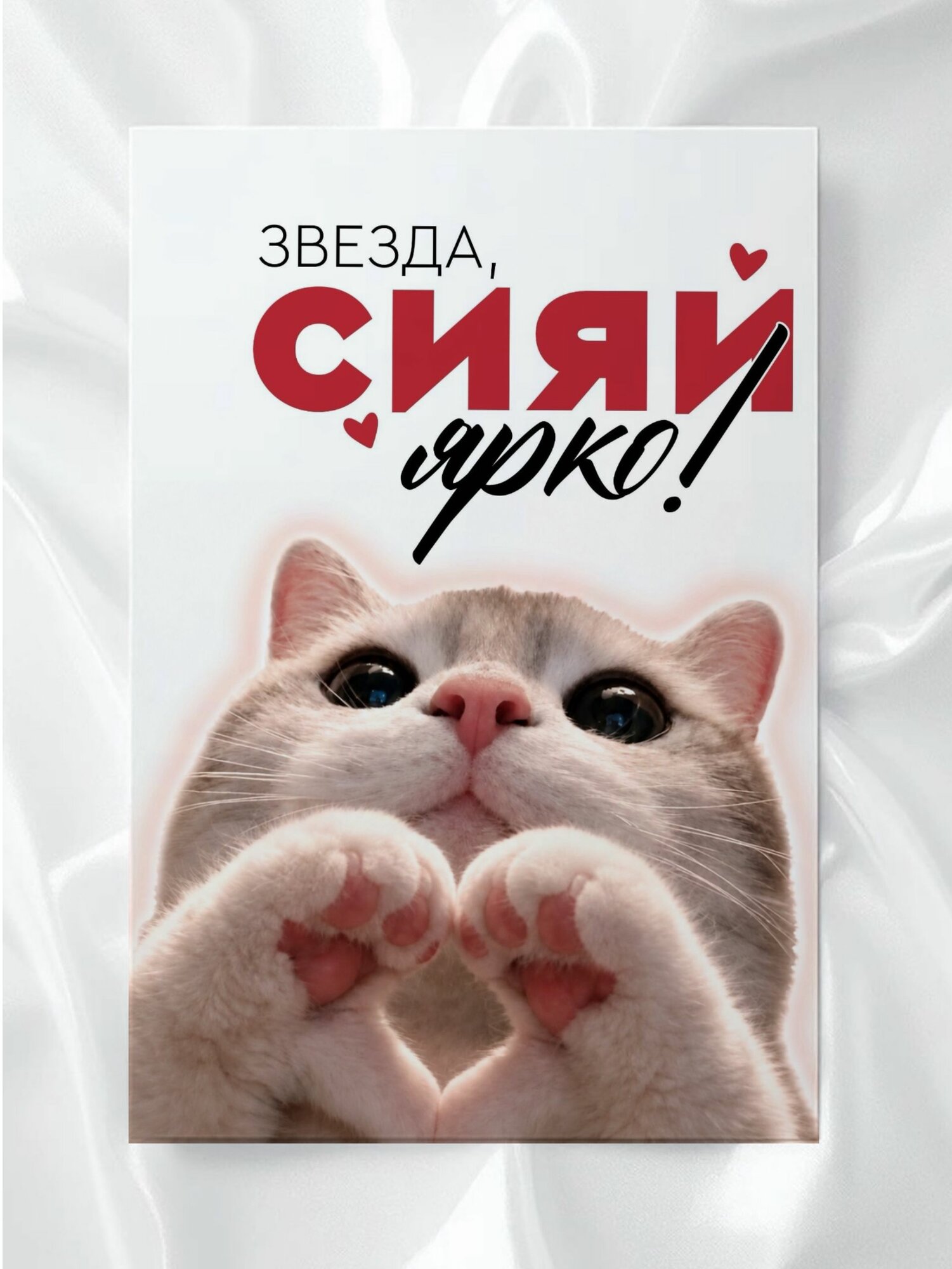 Открытка с котиком звезда, сияй ярко! мотивирующий подарок и поддержка близкому человеку