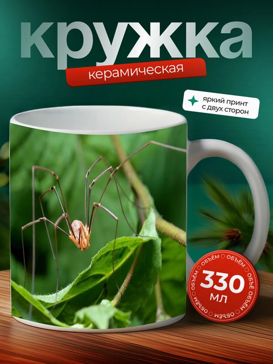 Кружка Фолькус паук-сенокосец паукообразное 2,