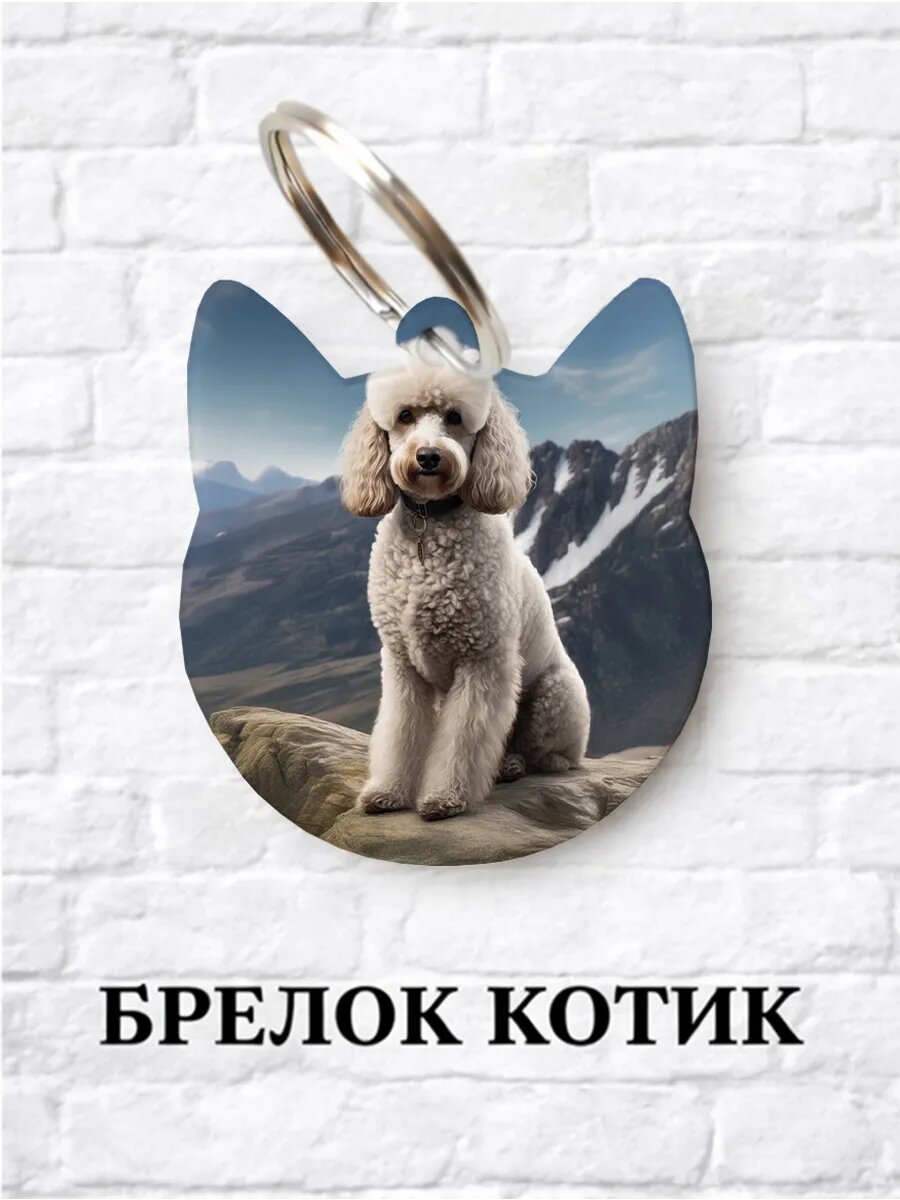Брелок ZHENYA CLOUD