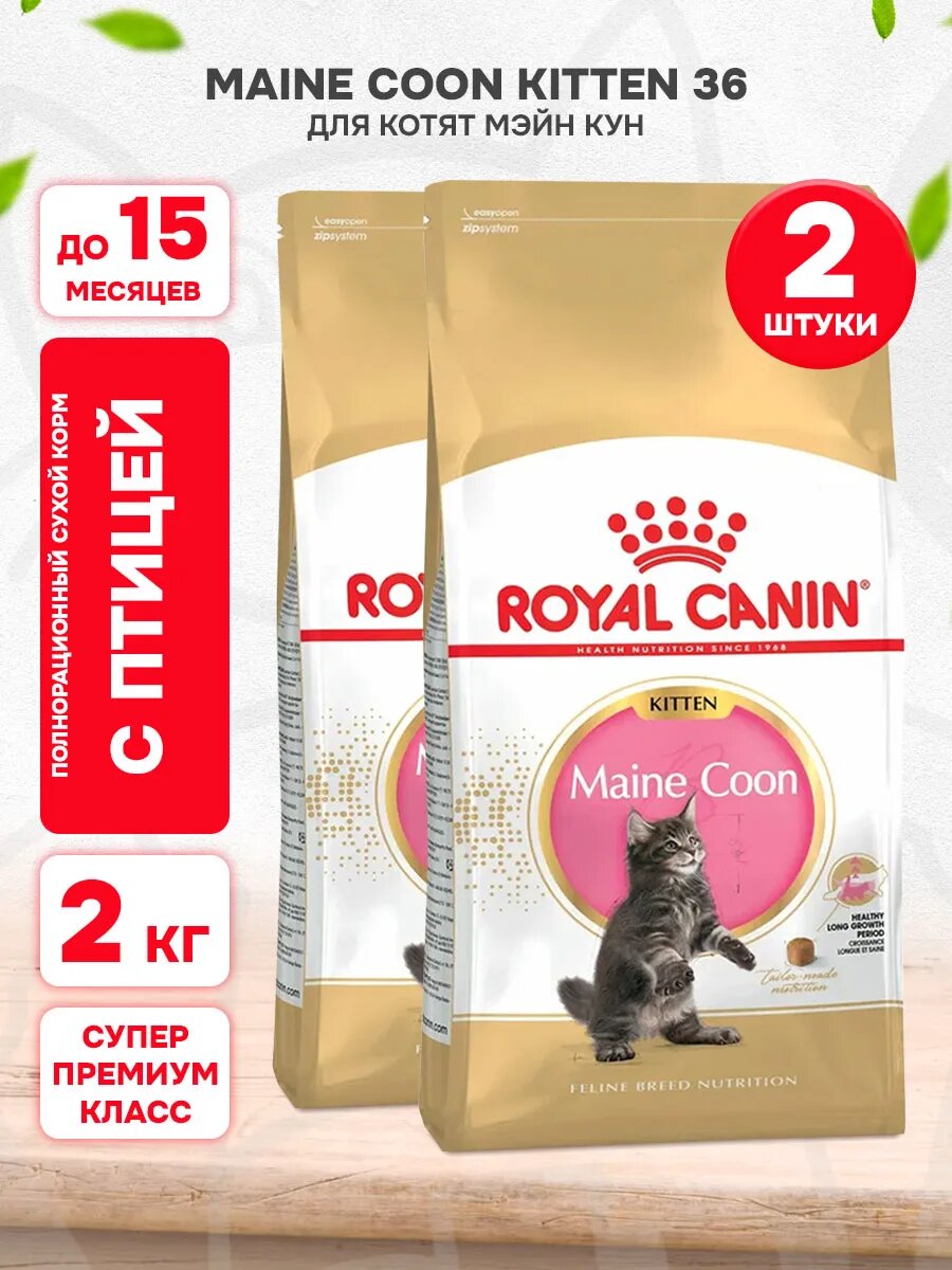 Корм сухой Royal Canin Maine Coon Kitten 36 для котят мэйн кун, 2 кг х 2 шт