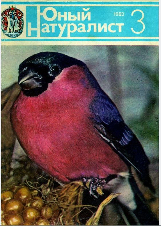 Журнал Юный натуралист №03 1982 г.
