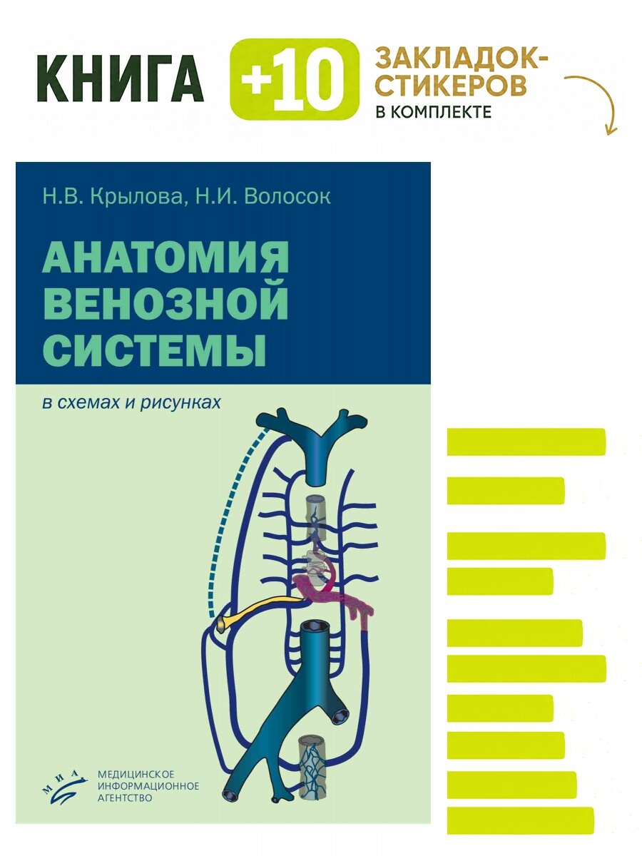 Анатомия венозной системы (в схемах и рисунках). Комплект: книга + 10 закладок-стикеров