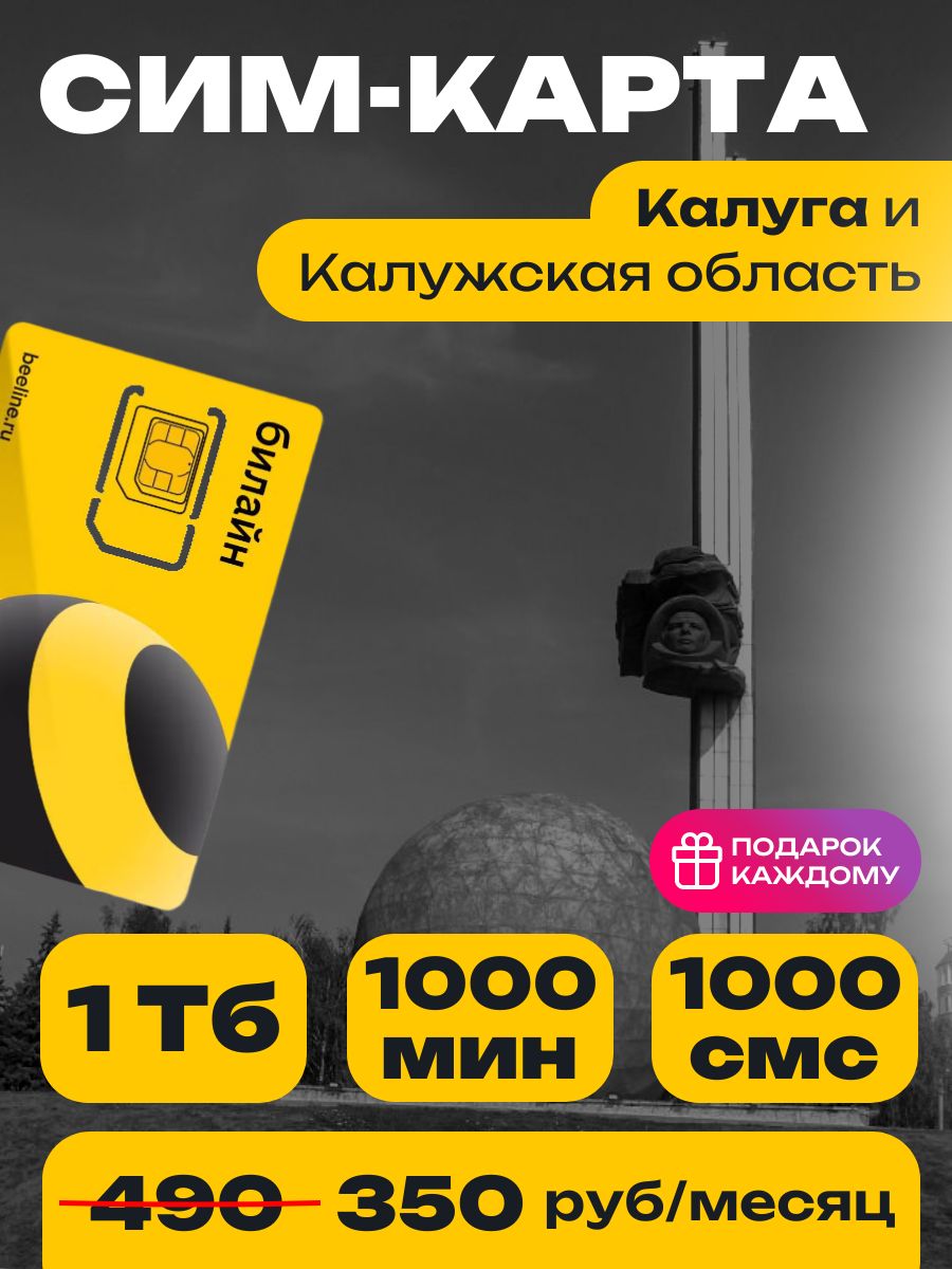 Сим-карта Билайн тариф Эксклюзивный Хит Калужская область 1000 Гб и 1000 минут за 350 руб.