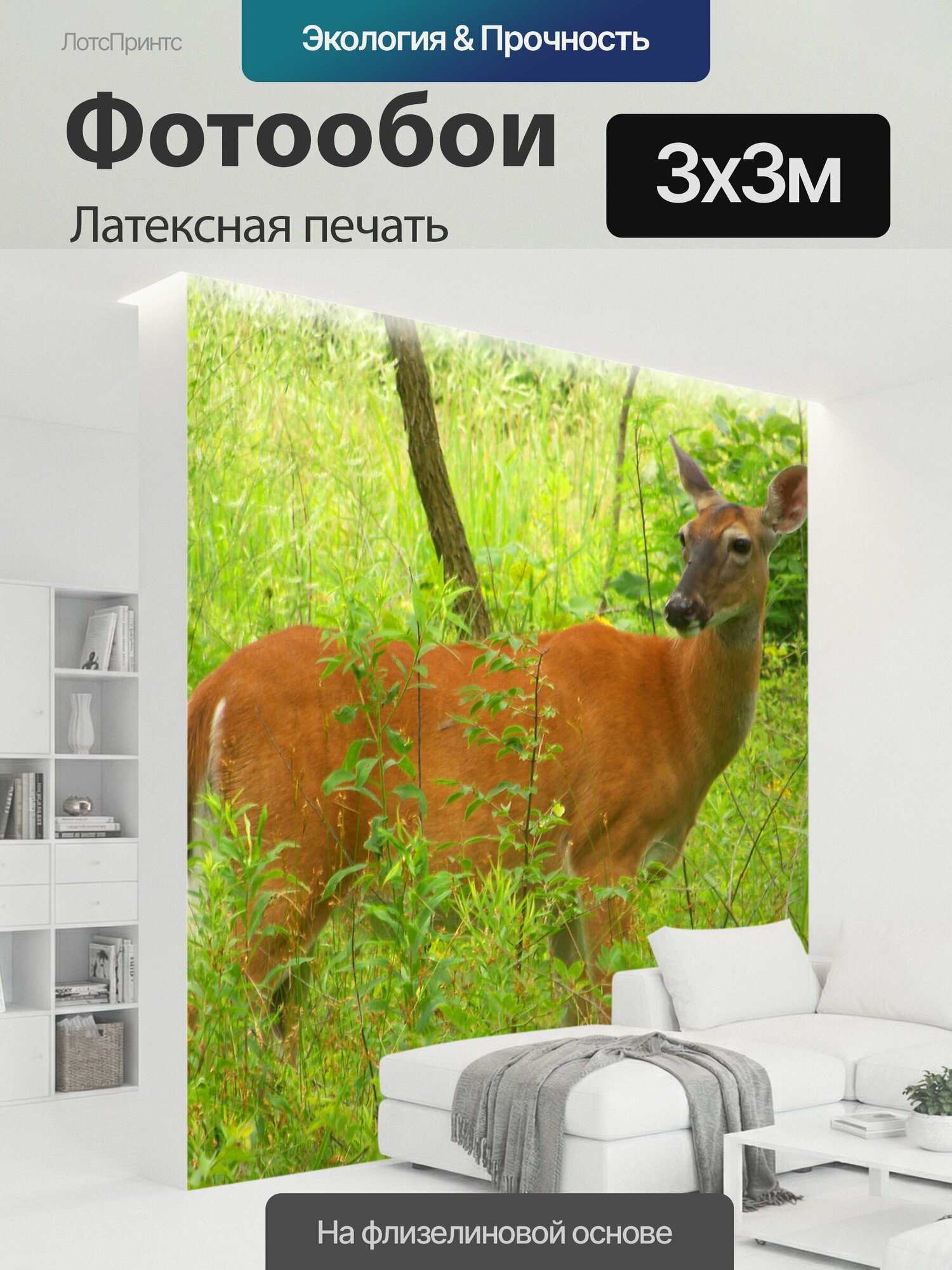 Фотообои моющиеся ударопрочные "Дир Оленей в лесу олень лань леса деревья лето" 300x300 см. латексная печать