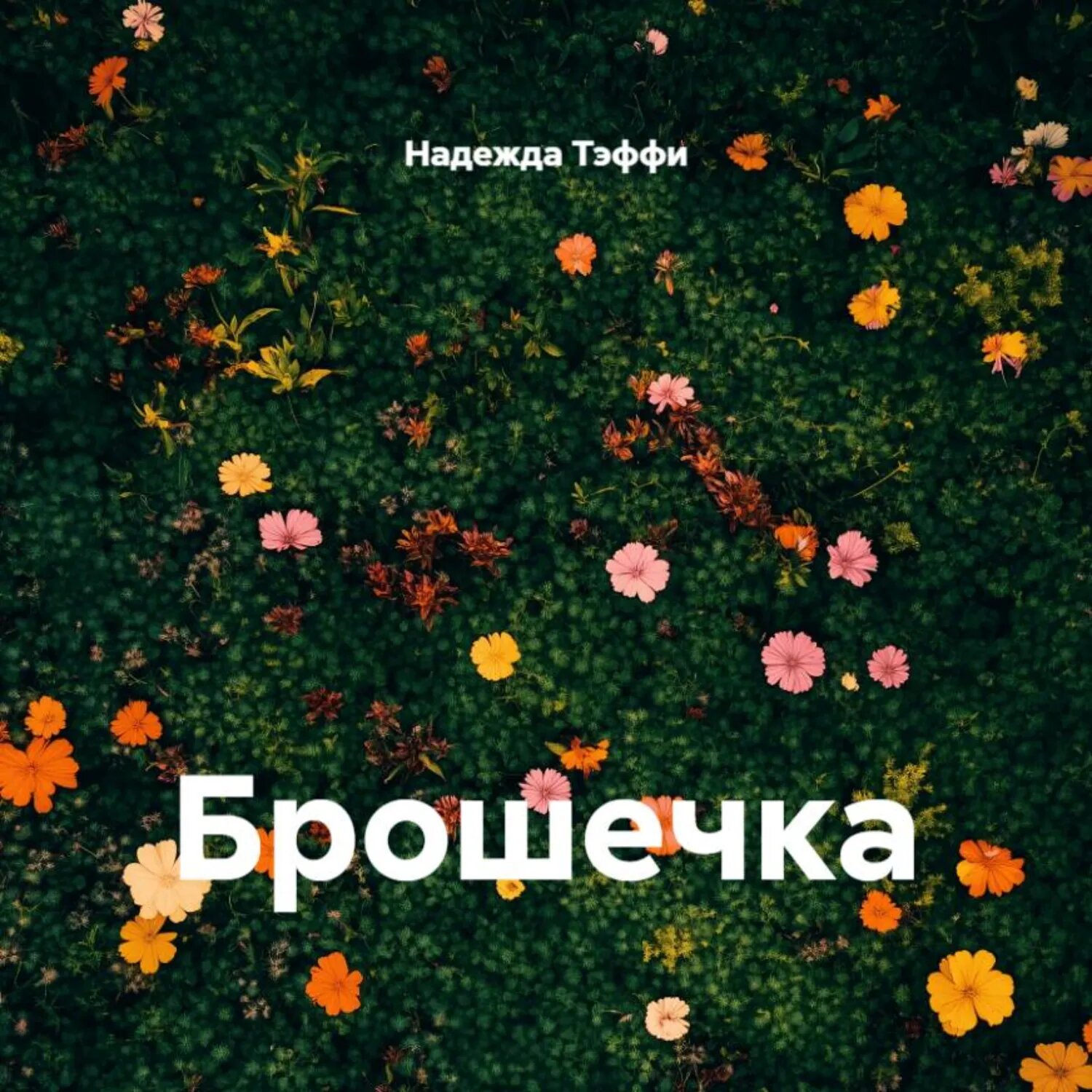 Брошечка [Аудиокнига]