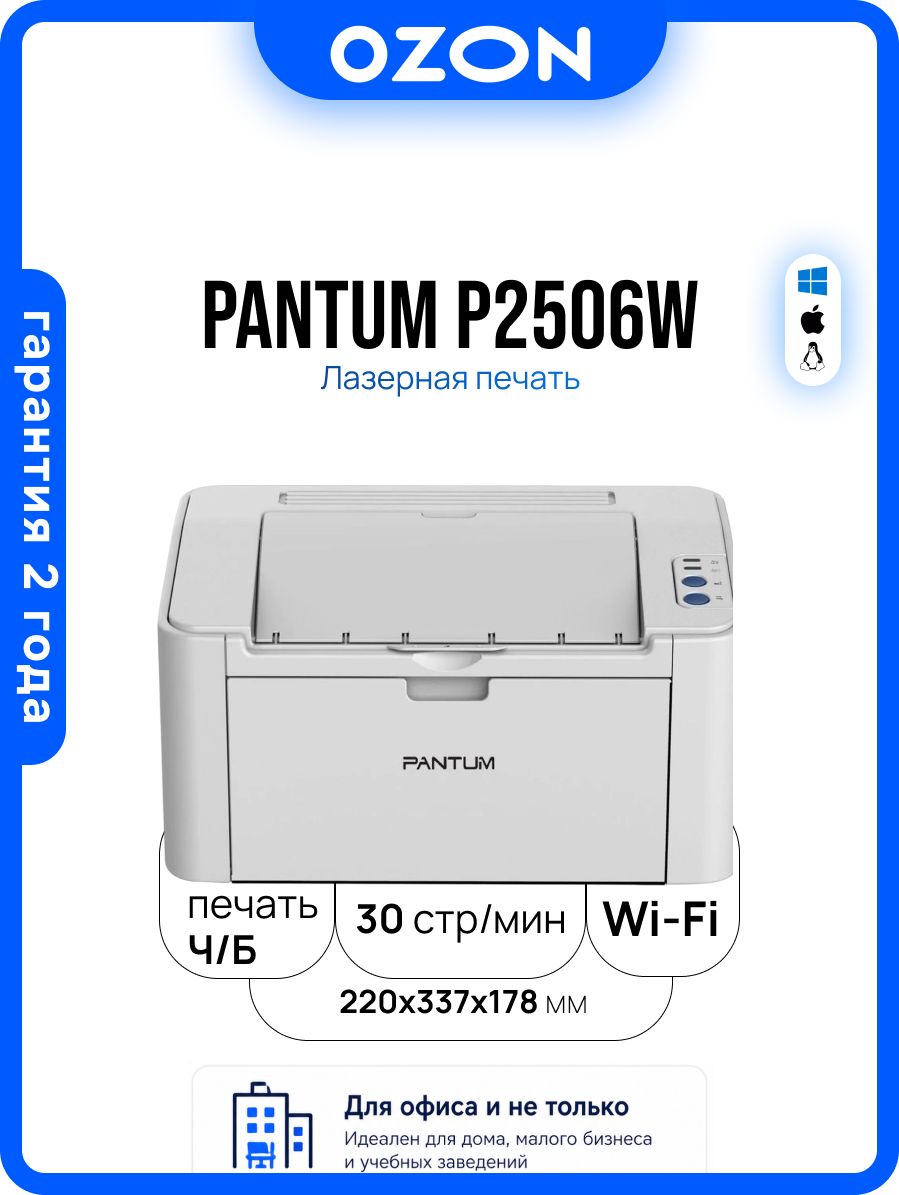 Принтер лазерный Pantum P2506W