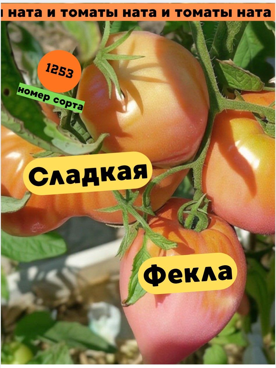 Коллекционные семена томата Сладкая Фекла 10 шт
