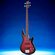 Schecter C-4 Plus STCB Бас-гитара