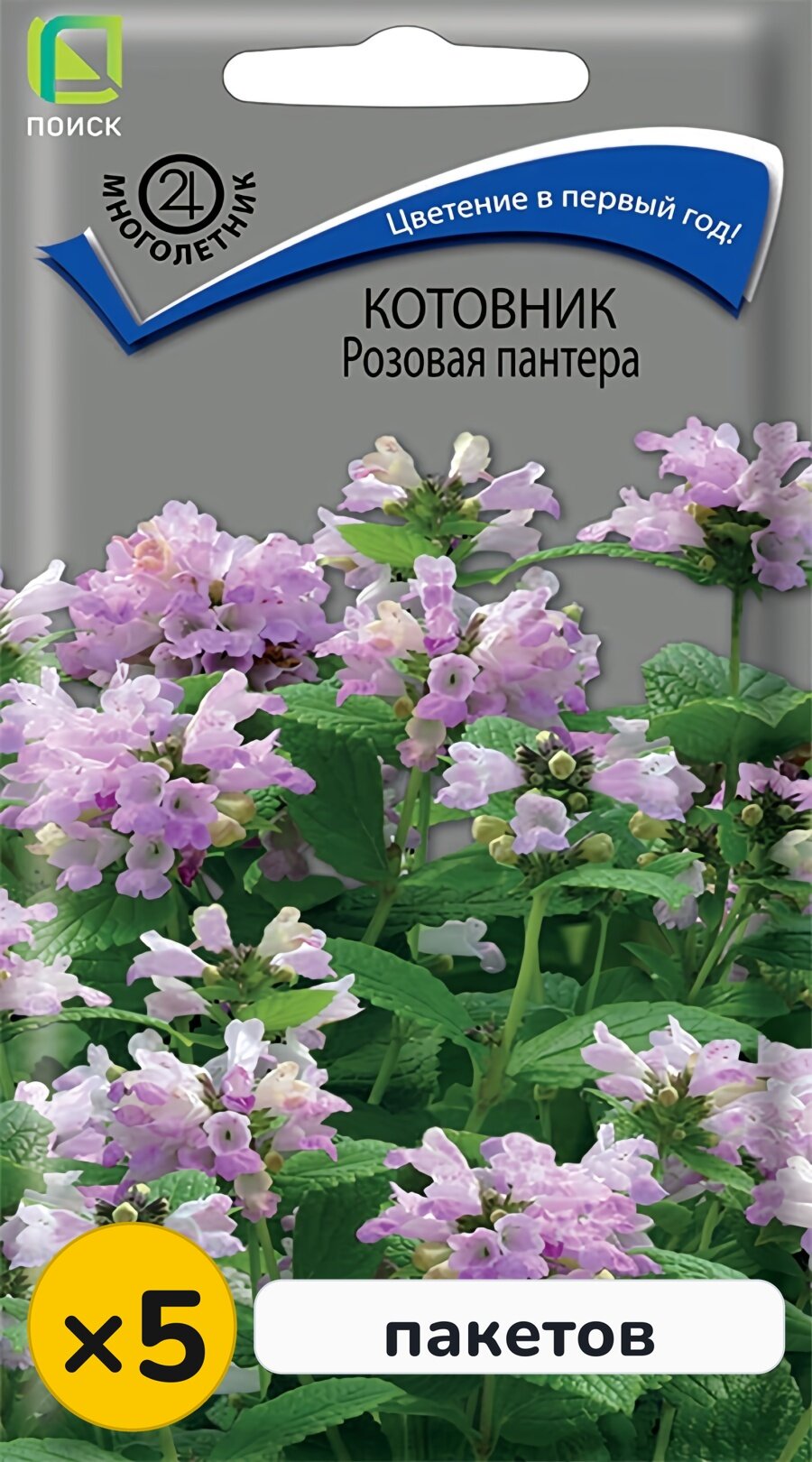 Семена котовника Розовая пантера, 10 шт, 5 пакетов, поиск, многолетник, высота до 50 см, посев на рассаду в марте