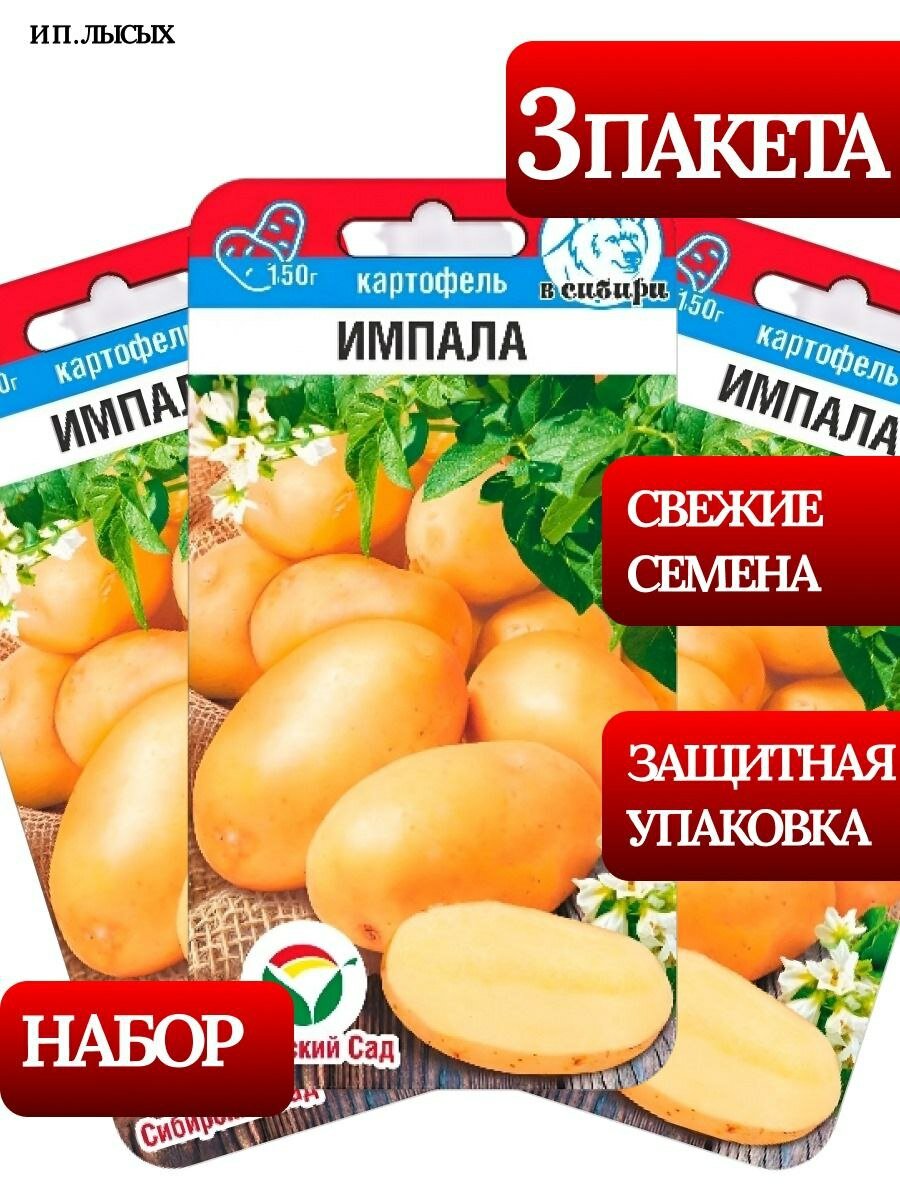 Семена Картофель "Импала"