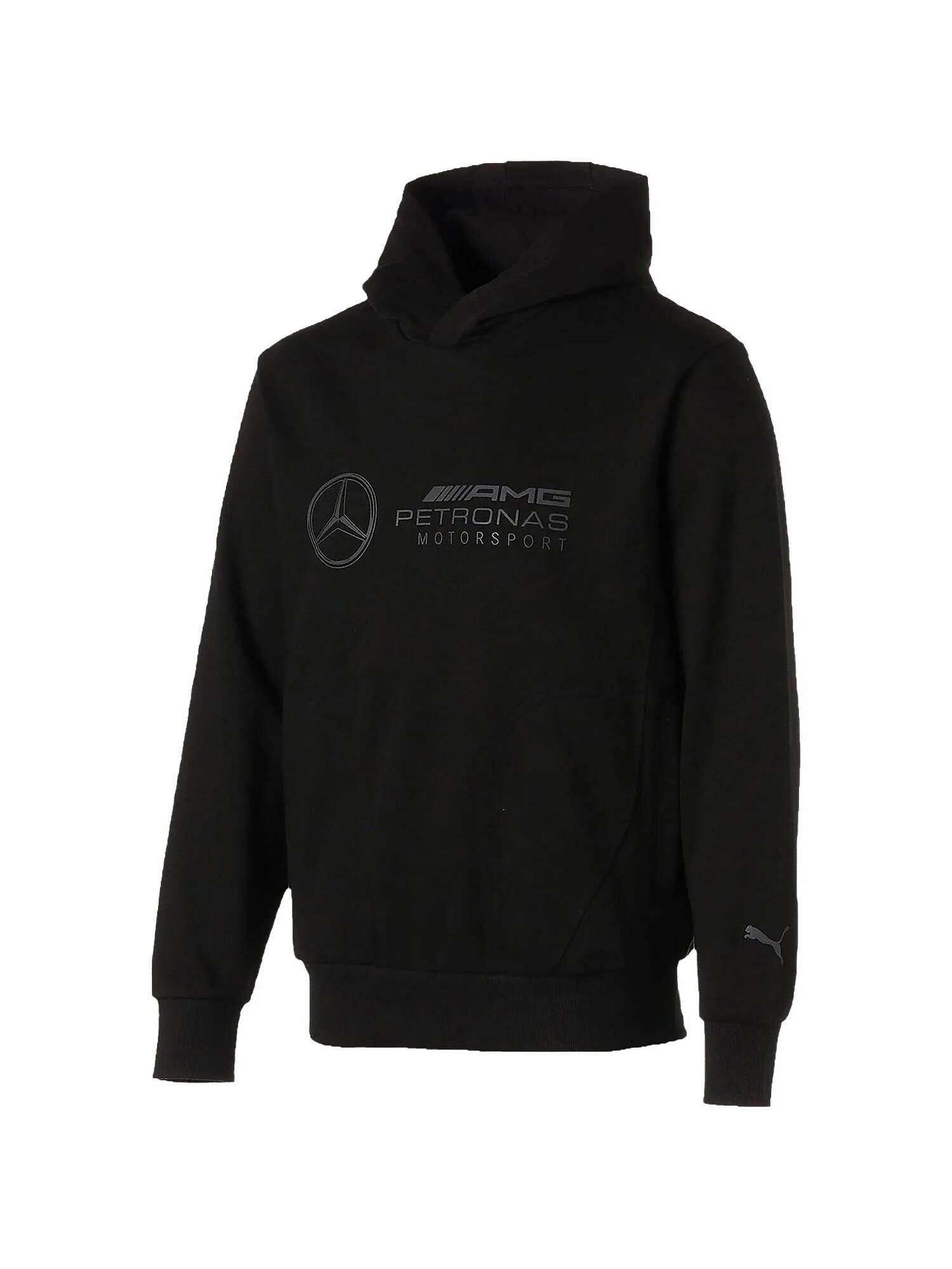 Худи F1 Team Mercedes-AMG