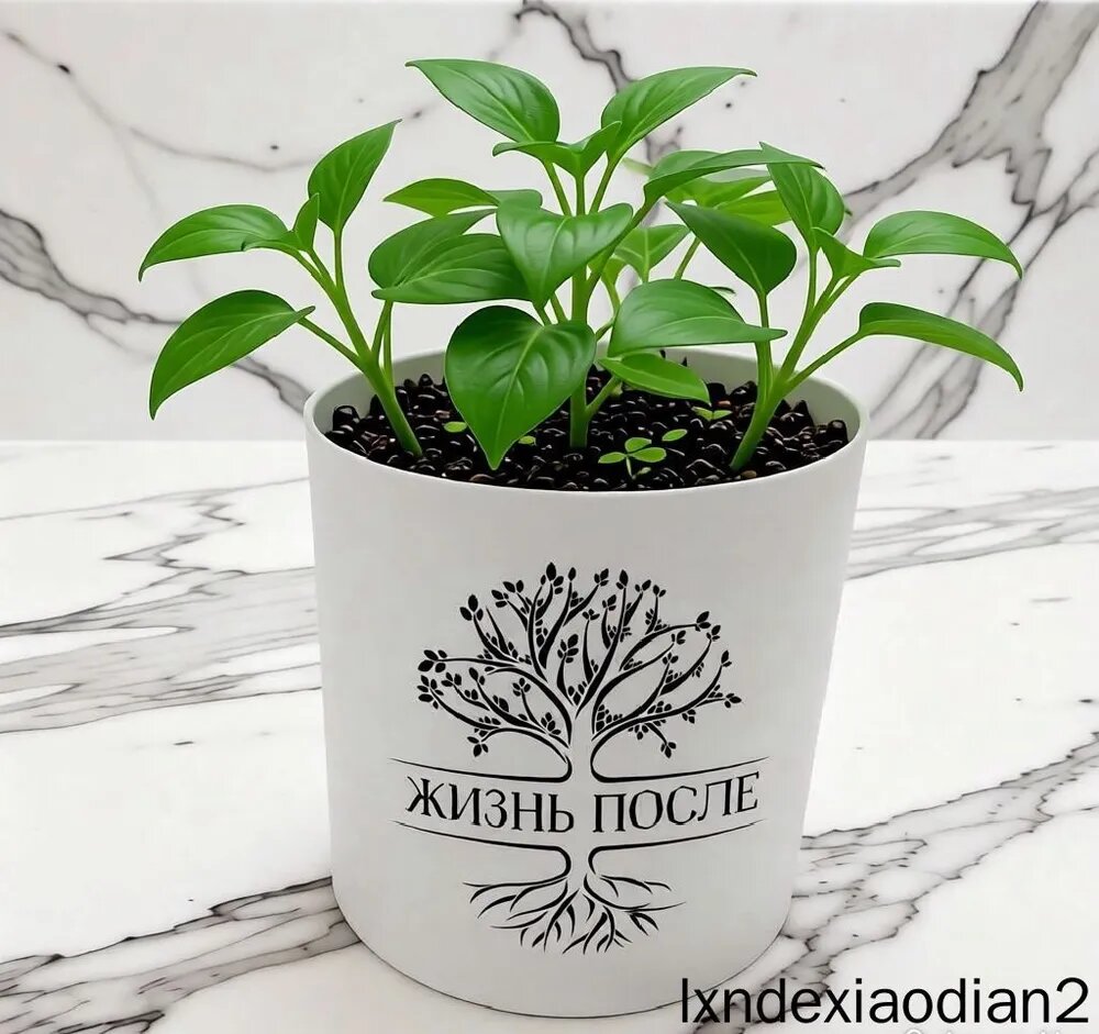 Экоурна для праха домашних питомцев