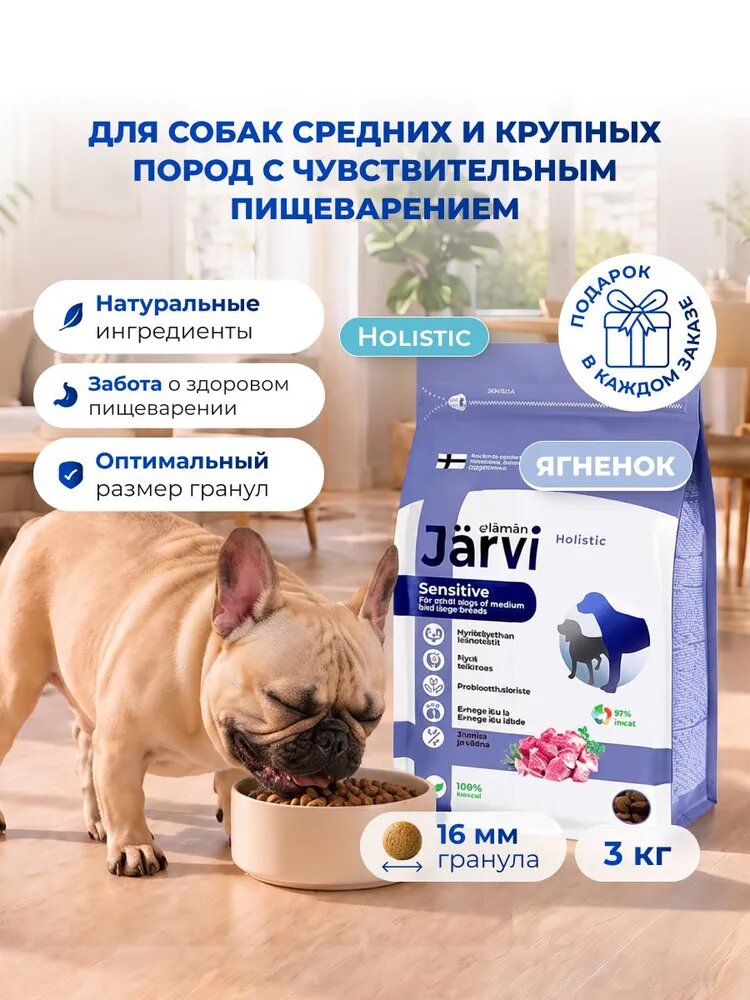 Сухой корм Jarvi полнорационный для взрослых собак средних и крупных пород с чувствительным пищеварением с ягненком, 3 кг