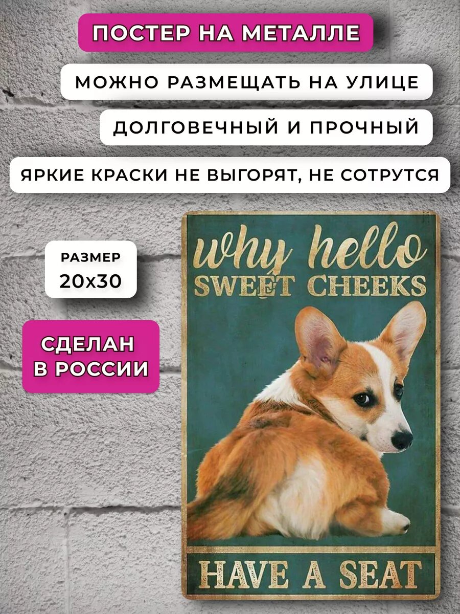 Постер Корги — фото 1