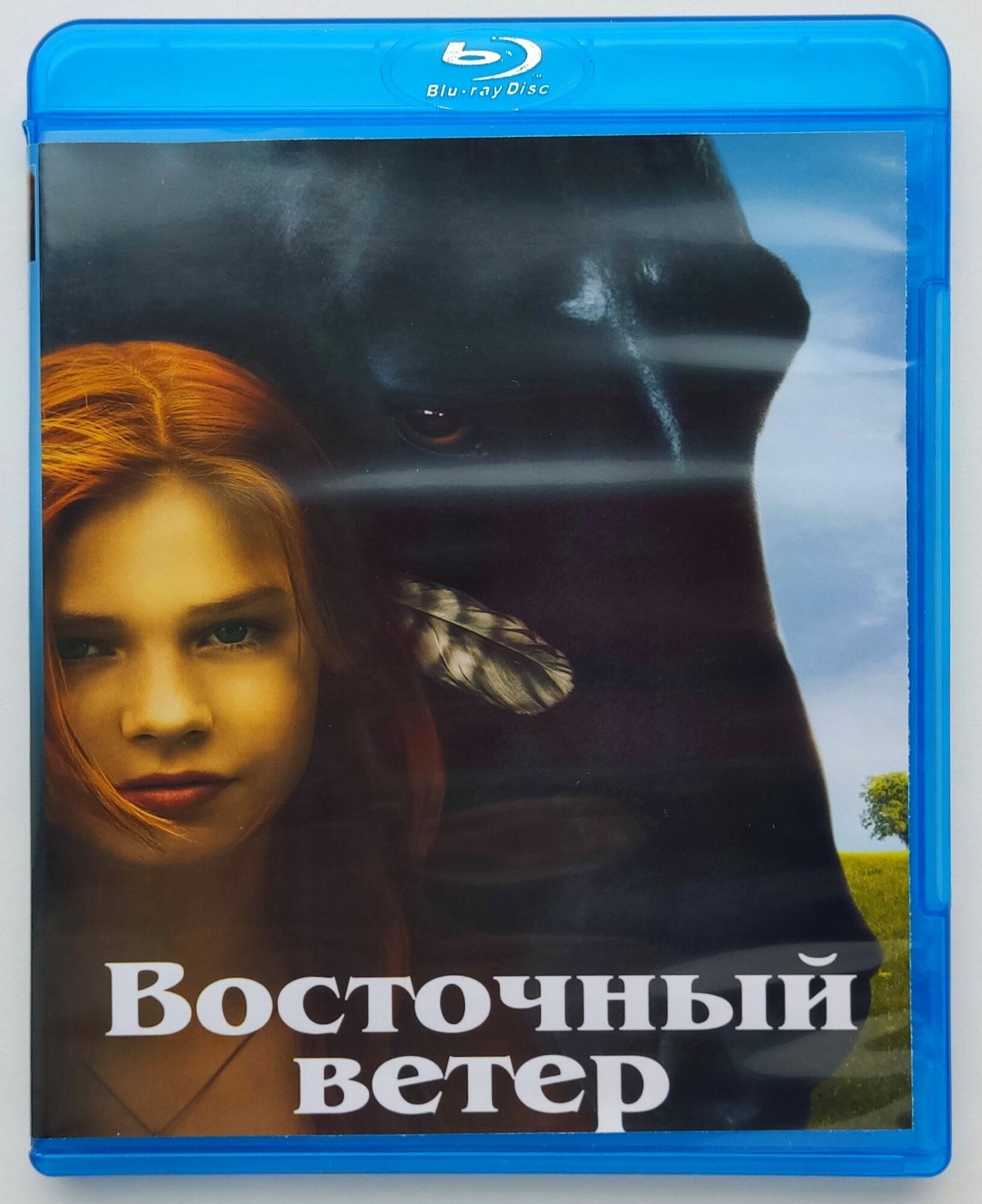 Восточный ветер. Blu-ray. Фильм 2013 года. Приключения, семейный, драма.
