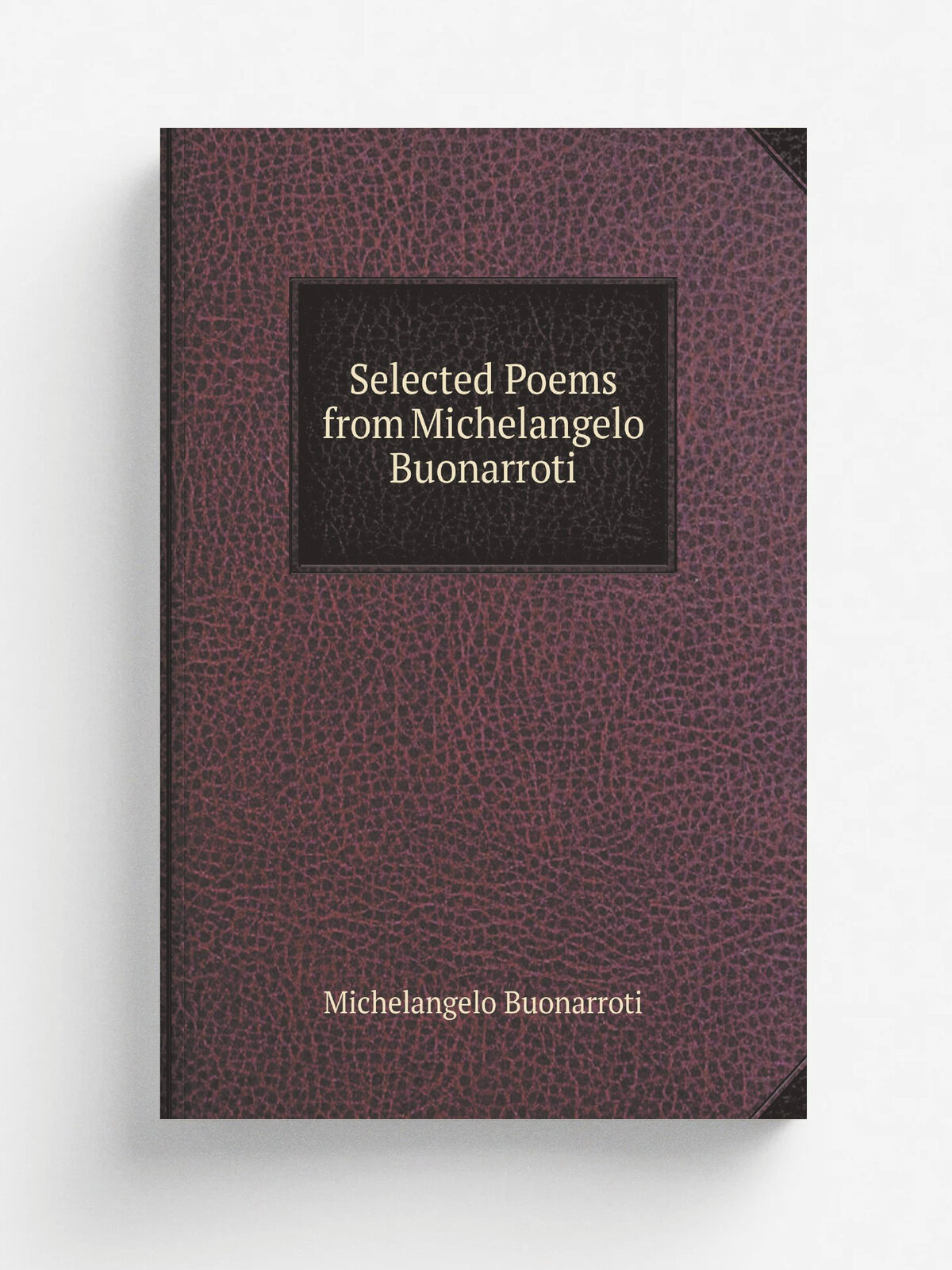 Selected Poems from Michelangelo Buonarroti