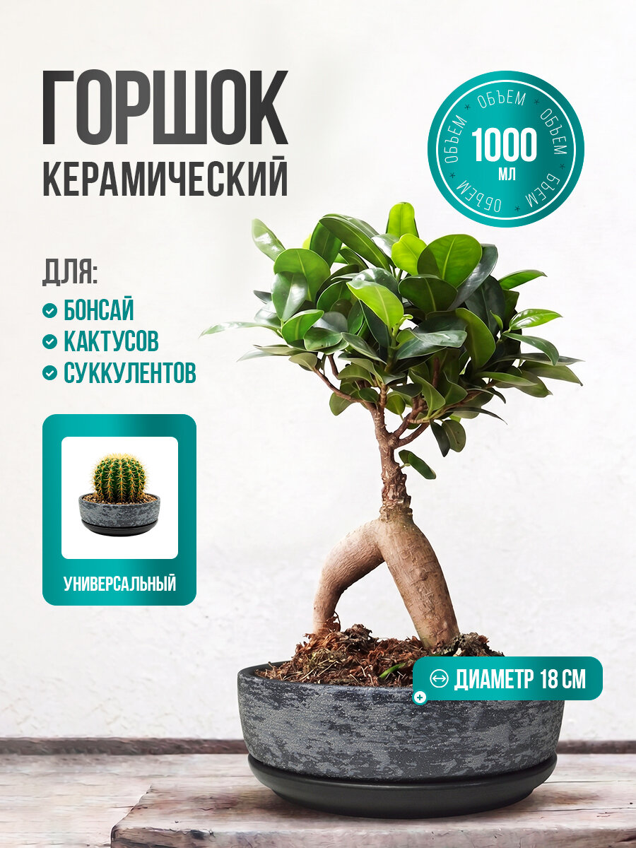 Керамический горшок "Сиде пепел" для бонсай, кактусов и суккулентов, диаметр 18 см, высота 5,5 см