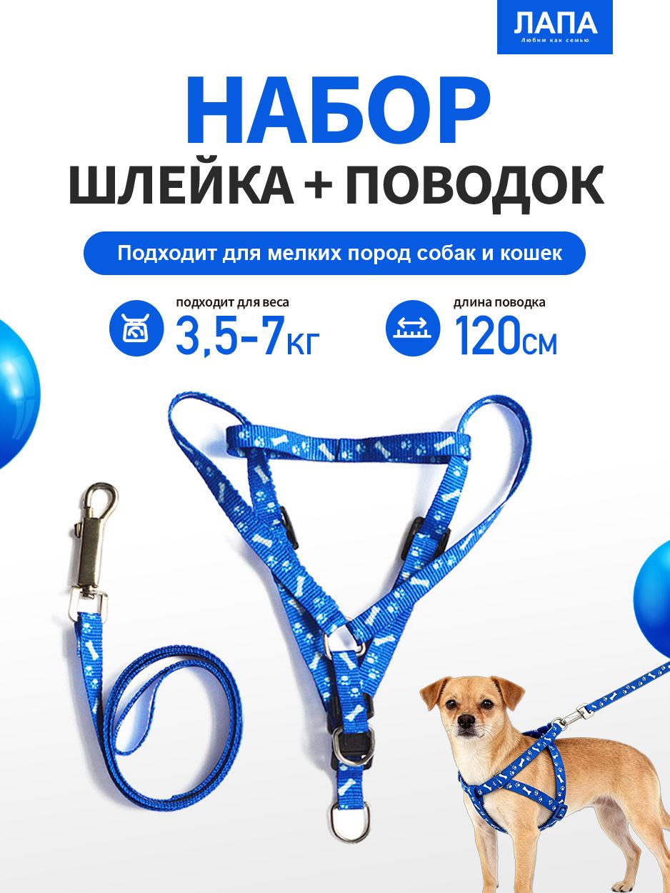 Комплект синей шлейки и поводка для кошек и мелких собак, подходит для питомцев весом 3.5-7 кг