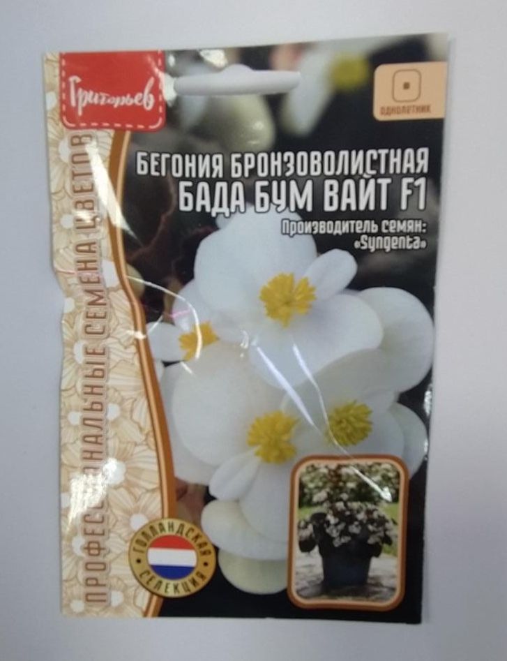 Бегония бронзоволистная Бада Бум Вайт 5 драже/ Редкие растения