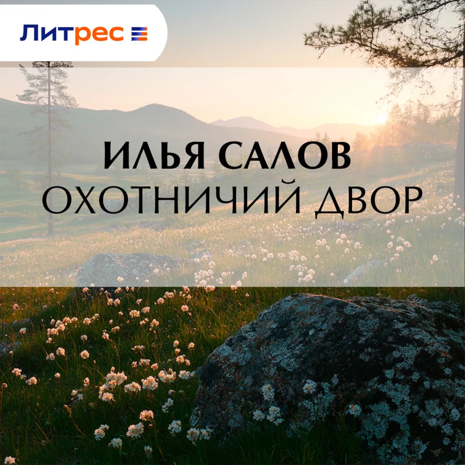 Охотничий двор [Аудиокнига]