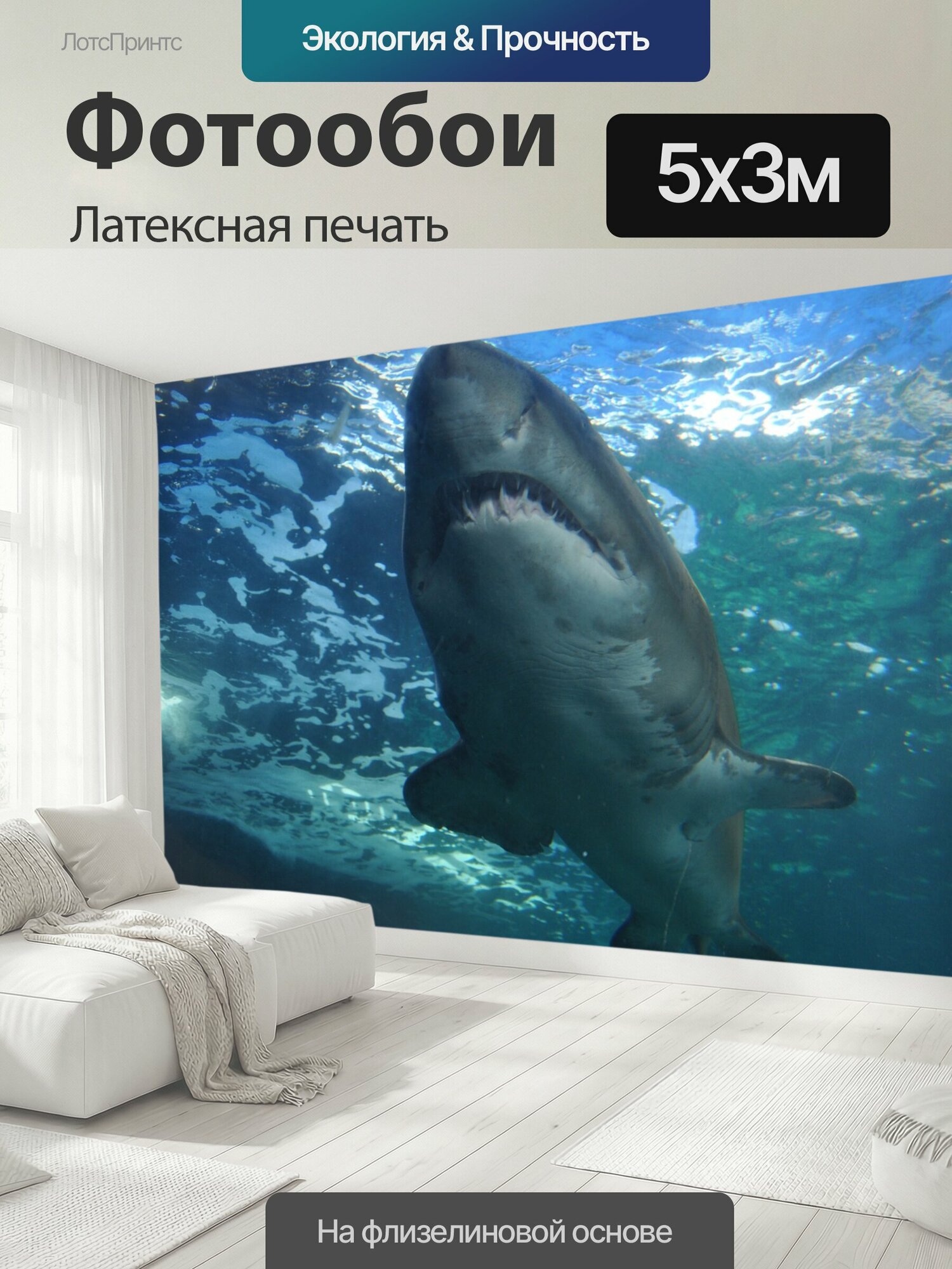 Фотообои моющиеся ударопрочные "Акула, море, океан" 500x300 см. латексная печать