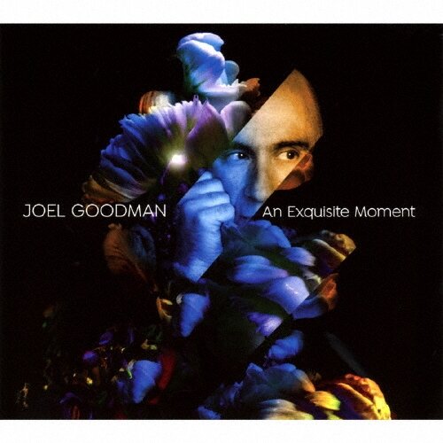 Музыка CD Joel Goodman - An Exquisite Moment (CD, Album, 2023)