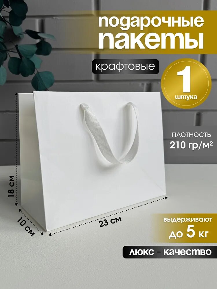 OMG Gift Пакет подарочный горизонтальный 23х18х10 см 1 шт