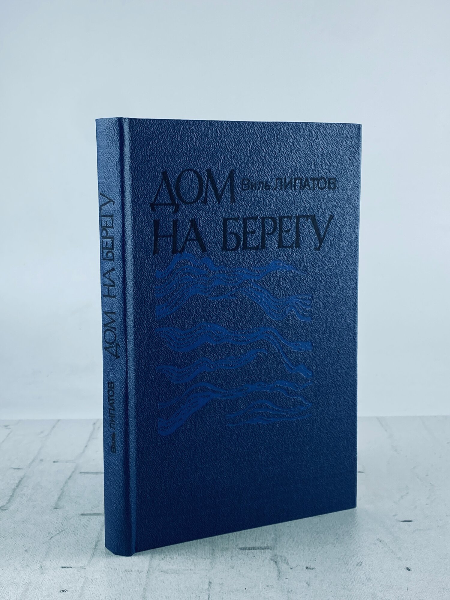 Дом на берегу | Липатов Виль Владимирович 1983