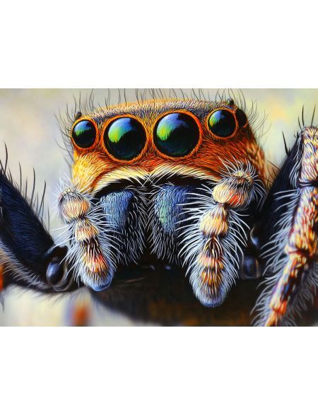 Алмазная мозаика без подрамника "Насекомые" 50x40 см