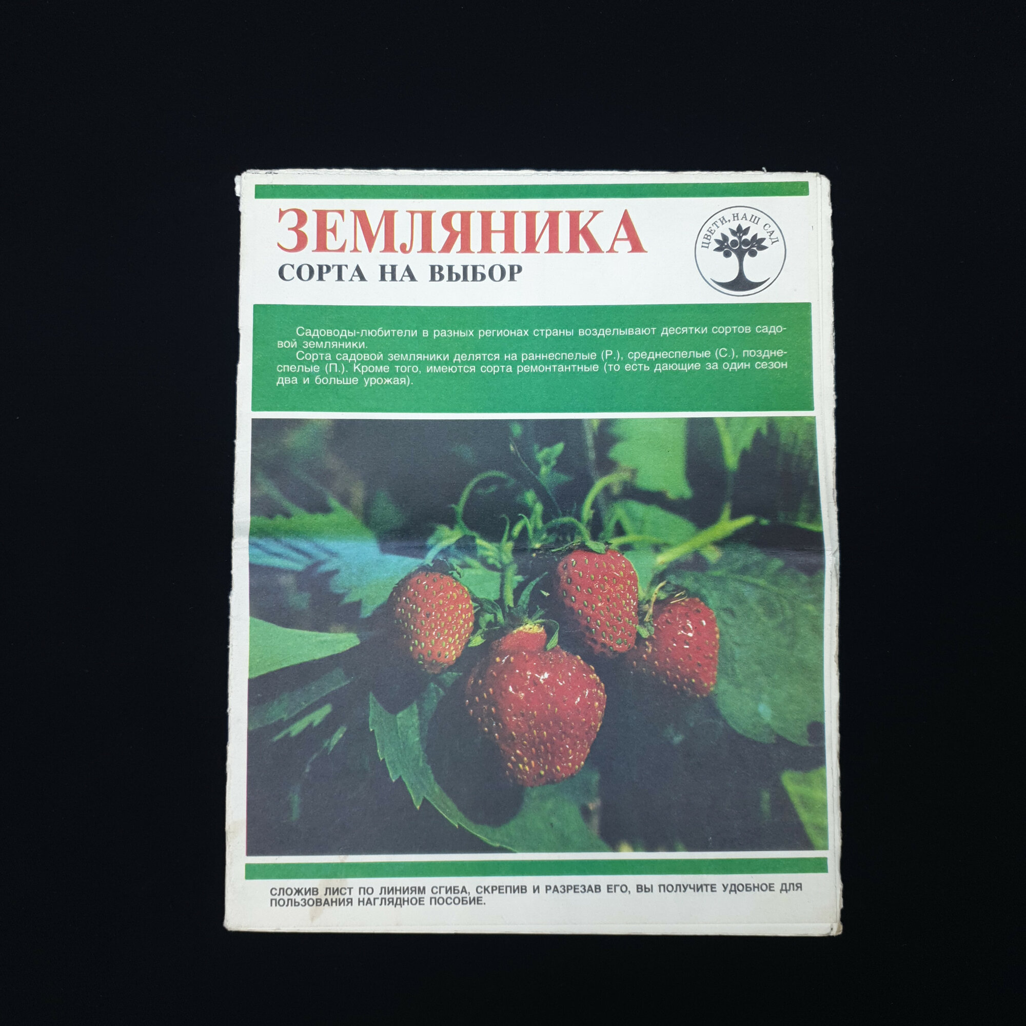 Земляника. Сорта на выбор. Книга СССР, садоводческое пособие