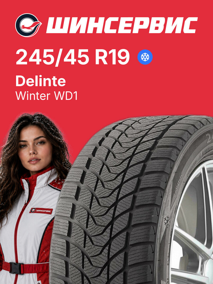 Зимняя нешипованная шина Delinte Winter WD1 245/45 R19 98 S, зимняя автомобильная резина