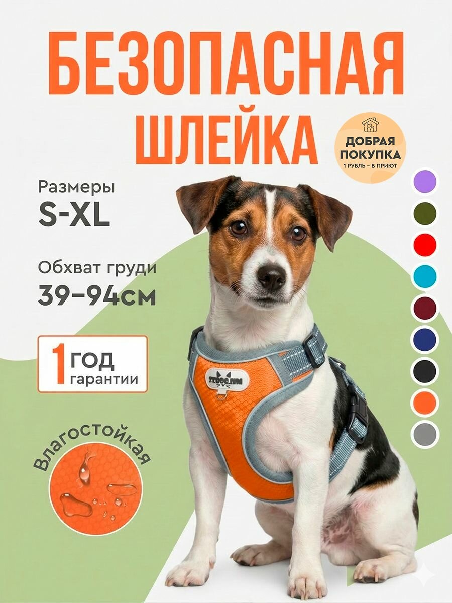 Шлейка для собак мелких пород и щенков MiloPets, S