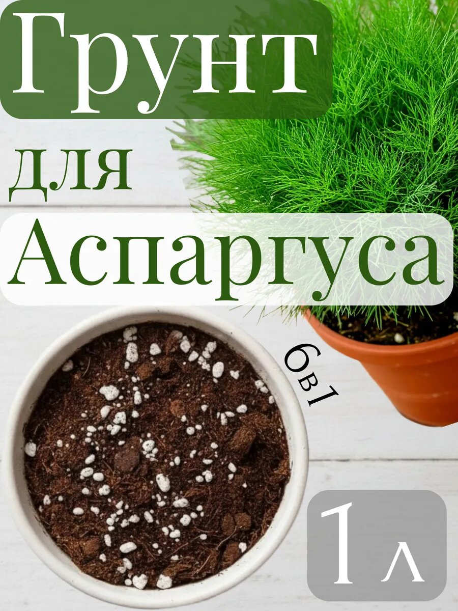 Готовый грунт юля Аспаргуса 1 литр
