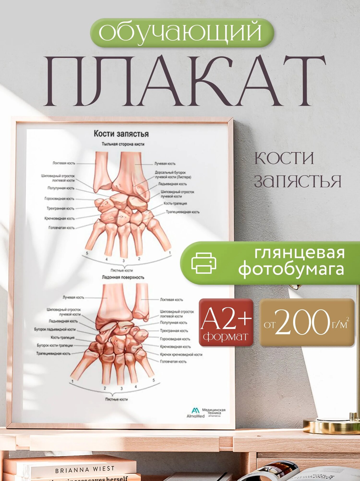 Обучающий плакат "Кости запястья", размер А2+, глянцевая фотобумага от 200г/м2