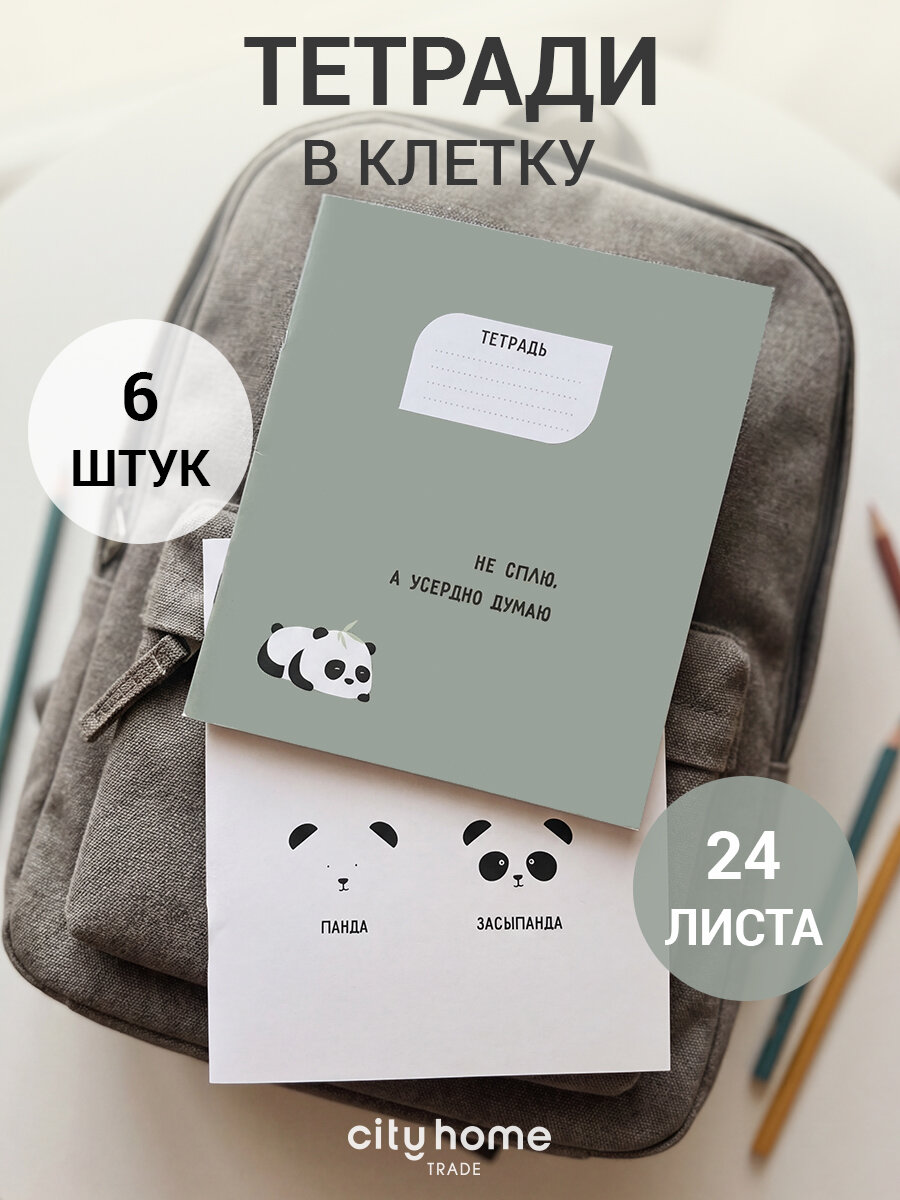 Тетради 24 листа в клетку, набор 6 шт