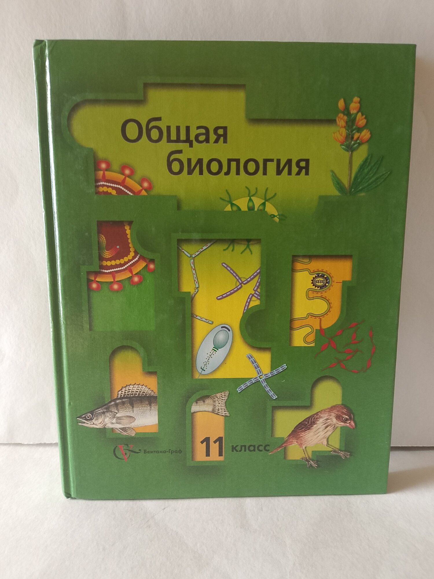 Общая биология. Учебник 11 класс