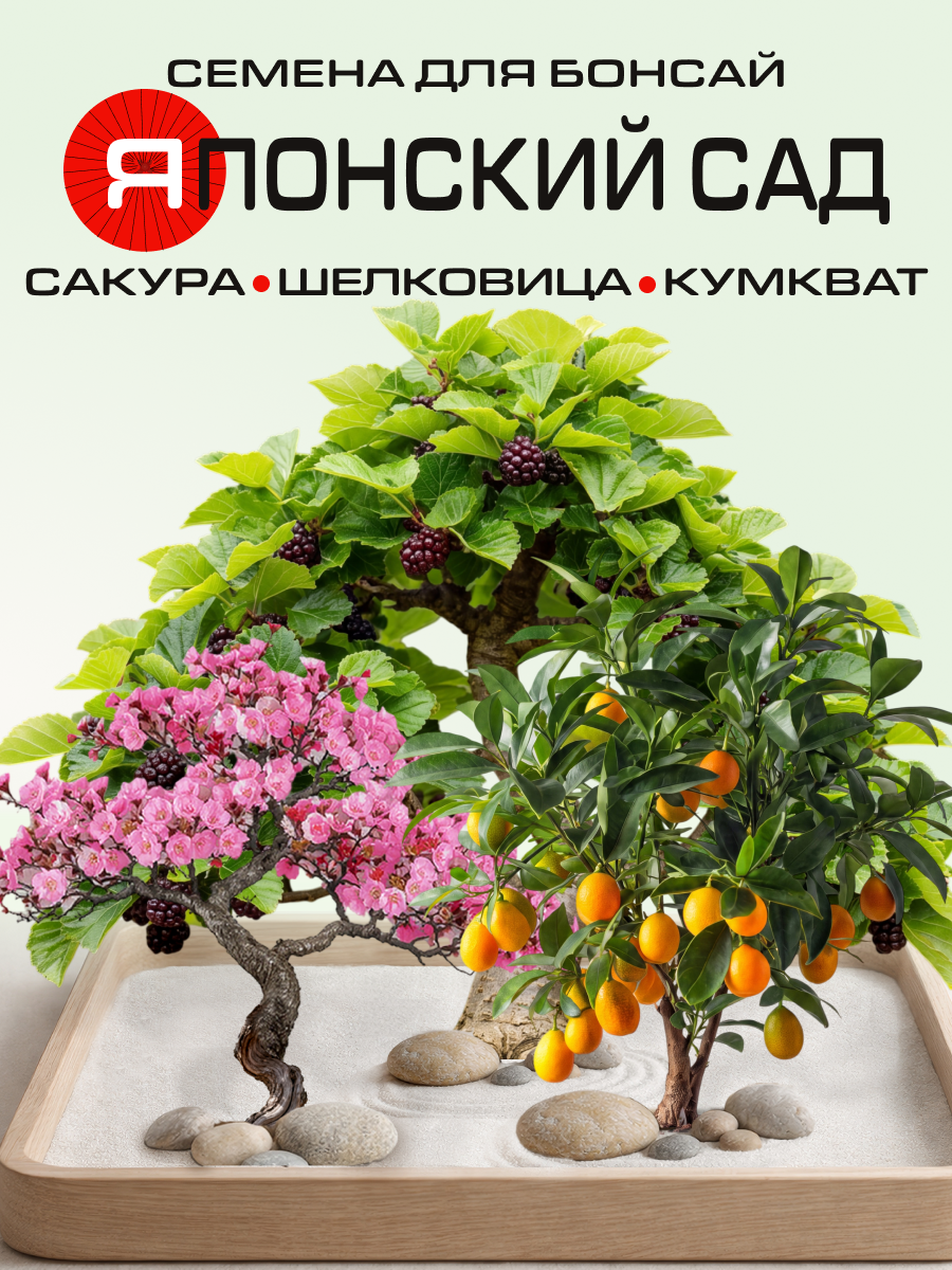 Набор семян для выращивания растений бонсай. Сакура, Кумкват, Шелковица