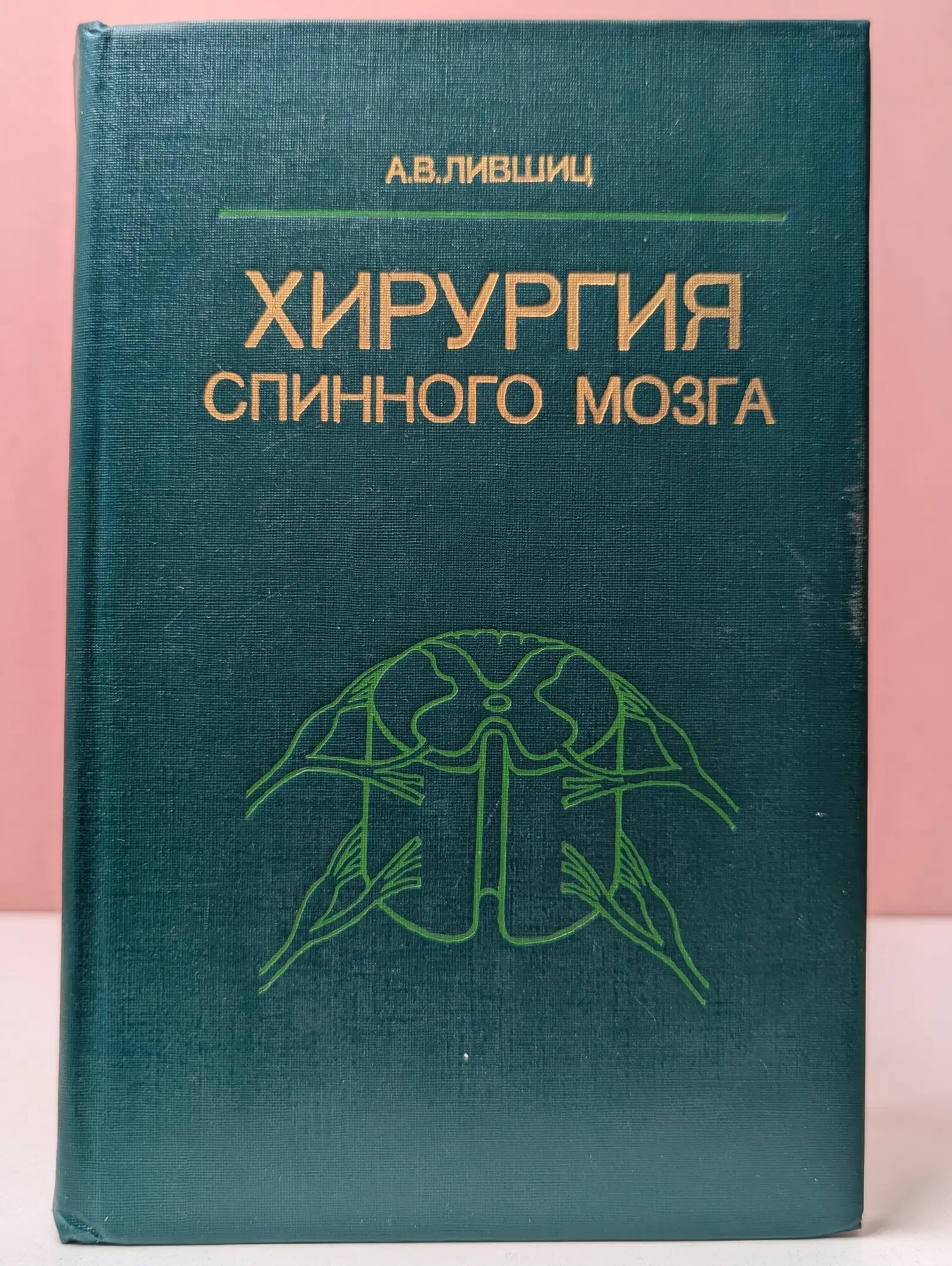 Хирургия спинного мозга Лившиц Аркадий Владимирович 1990