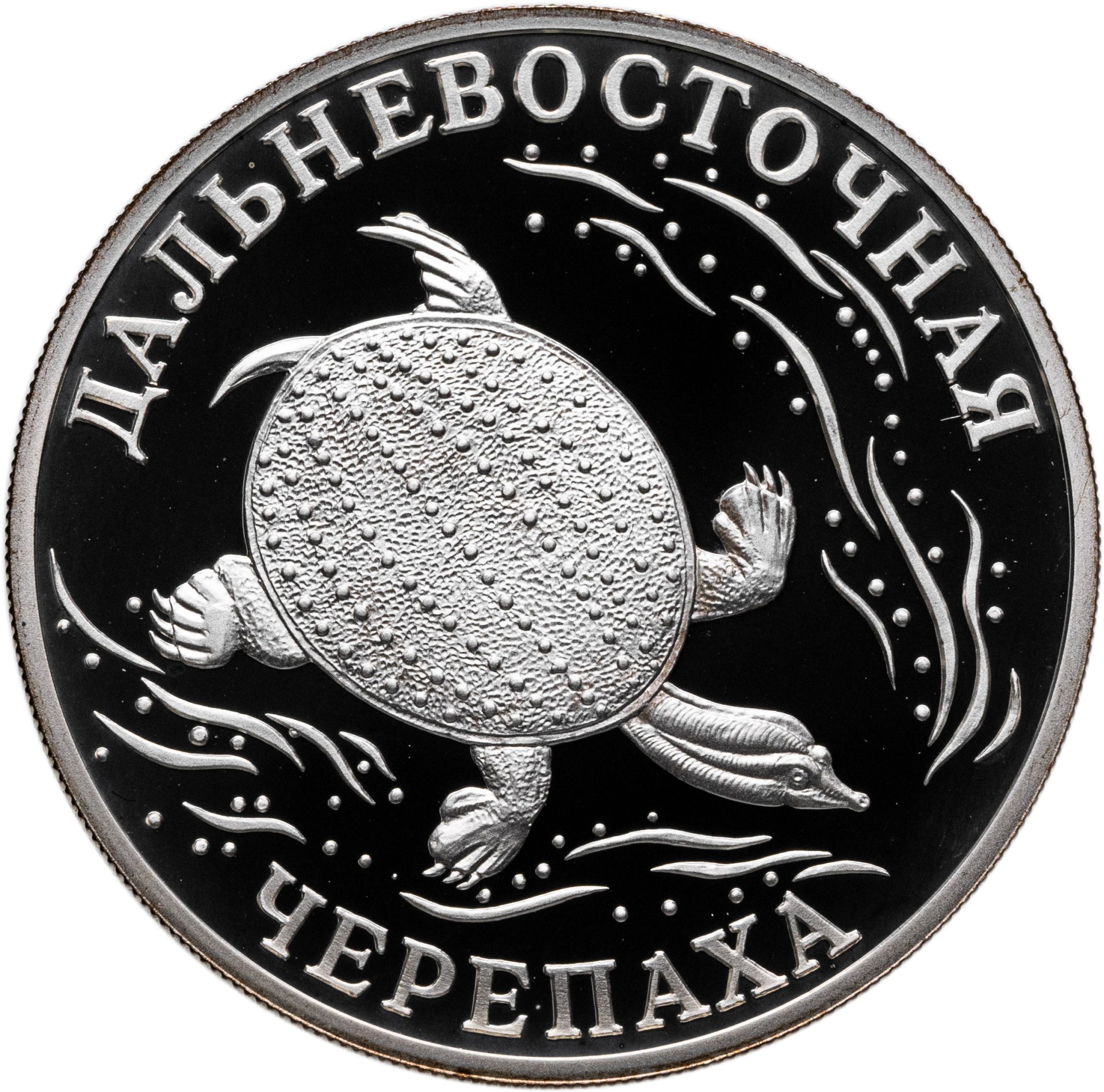 1 рубль 2003 СПМД Proof "Красная книга: дальневосточная черепаха", Серебро 900