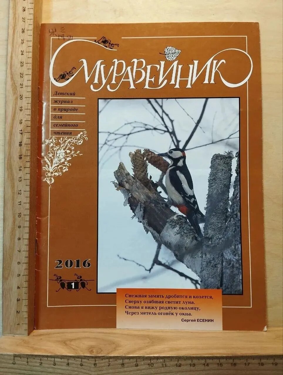 Муравейник. Детский журнал о природе для семейного чтения. 2016 №1