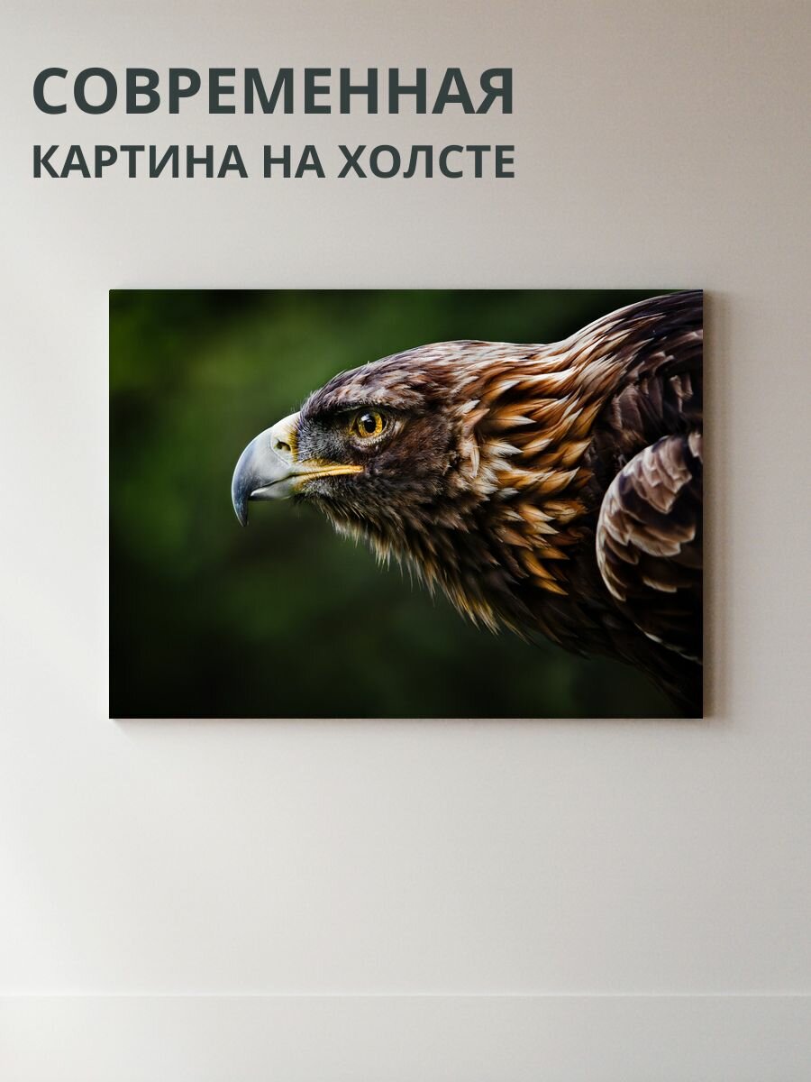 Картина на холсте Орел 70x50 см