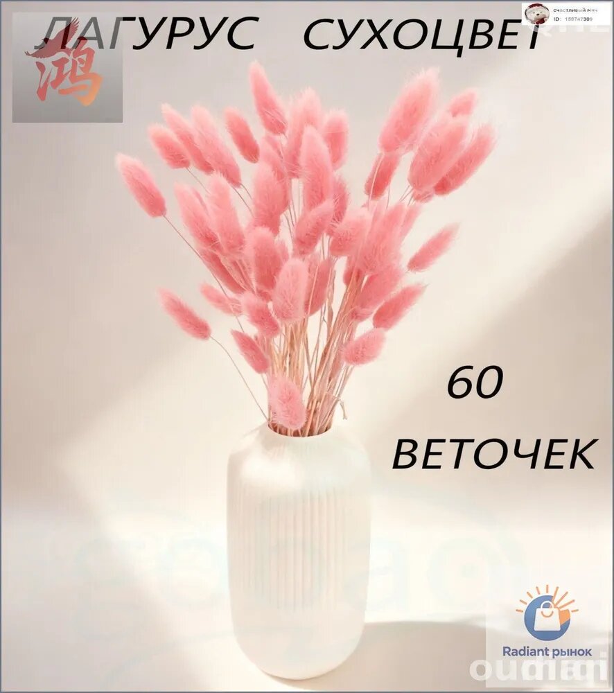 Сухоцветы Лагурус, 55 см, 100 гр, 60 шт