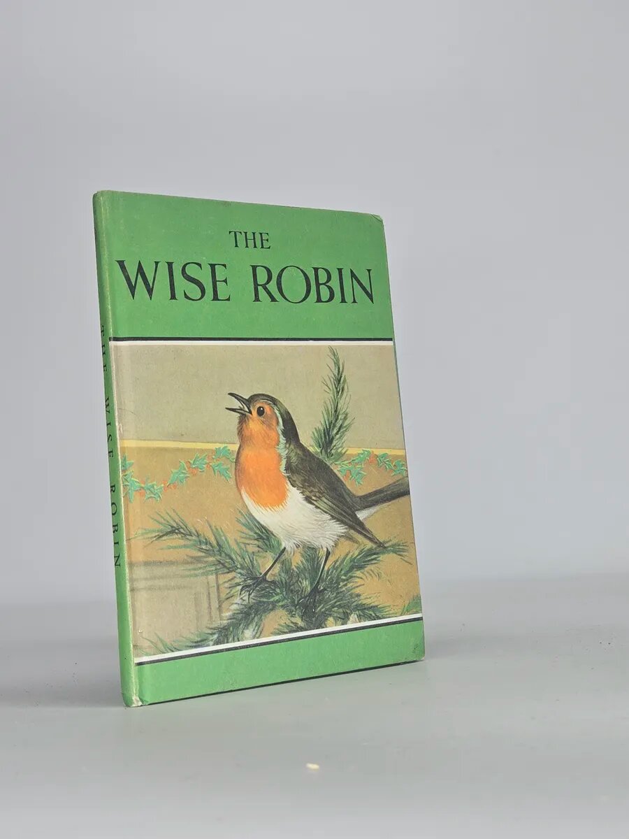 The Wise Robin