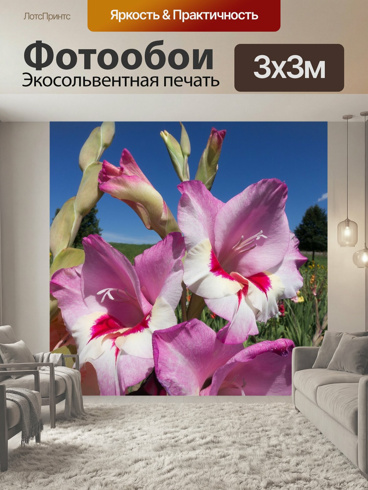 Фотообои "Гладиолусы, гладиолус, меч цветок" 300x300 см. экосольвентная печать