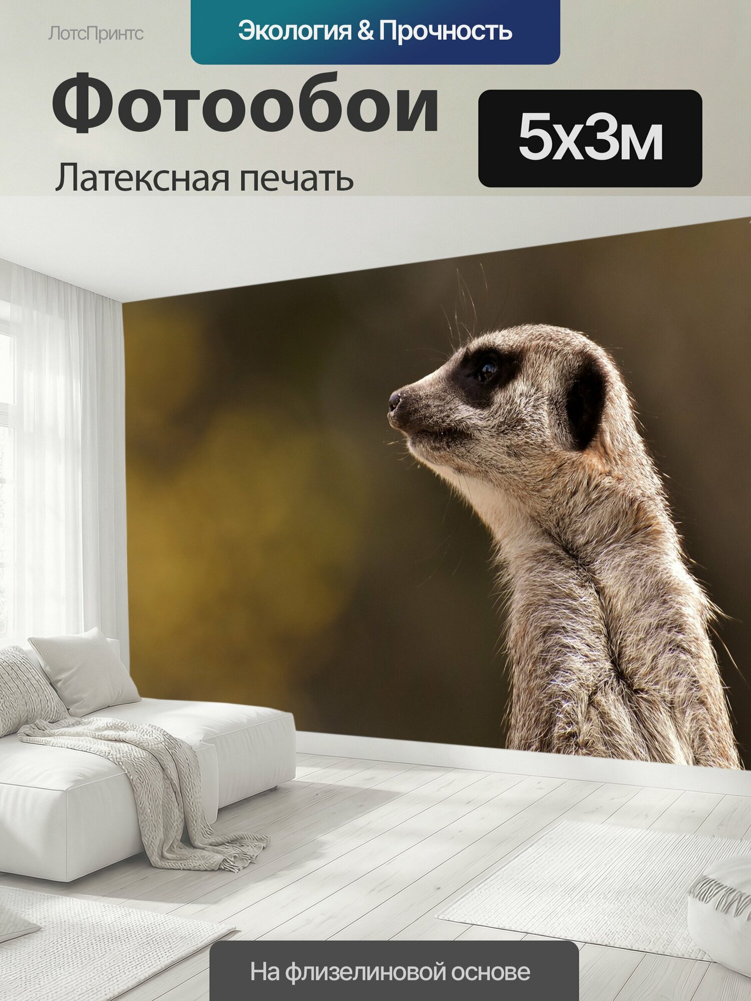 Фотообои моющиеся ударопрочные "Сурикат, животное, природа" 500x300 см. латексная печать