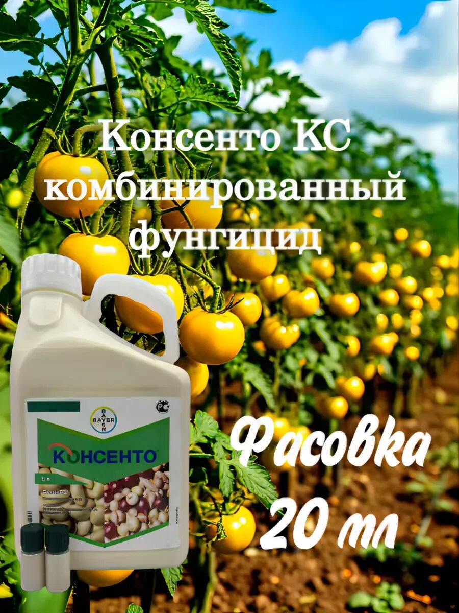 Фунгицид Консенто КС фасовка 20 мл