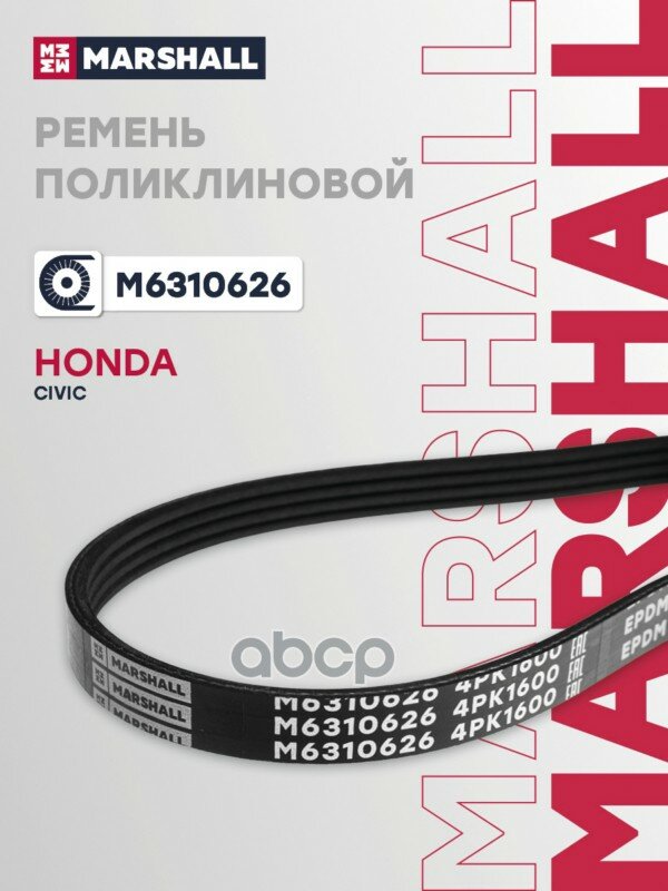 Ремень поликлиновой MARSHALL арт. M6310626