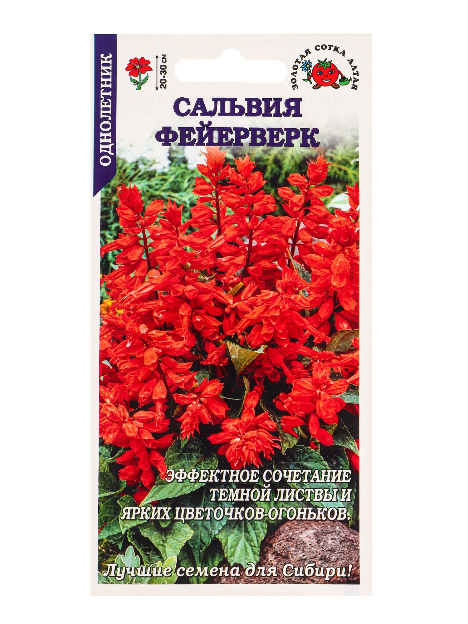 Сальвия «Фейерверк», семена, 0.05 г, «Золотая Сотка Алтая»